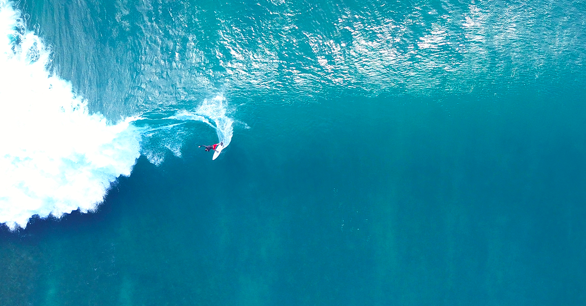 Building a better digital workplace with Microsoft 365 and Fresh ...